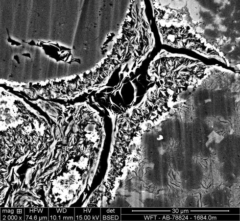 Advancements in shale reservoir characterization optimize capital ...