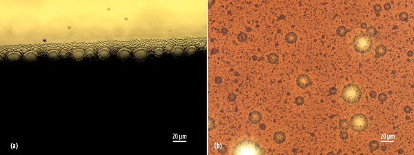 Treating water in heavy oil emulsions with microemulsion fluids