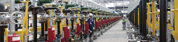 Filled with abundant resources, hope for increased activity