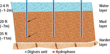 Vertical hydrophone arrays solve transition zone challenges