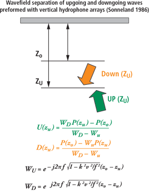 Vertical hydrophone arrays solve transition zone challenges