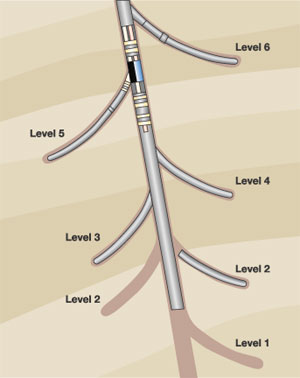 What is the future of multilateral technology?