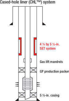 Petroleum Technology Digest: Solid expandable casing liner salvages ...