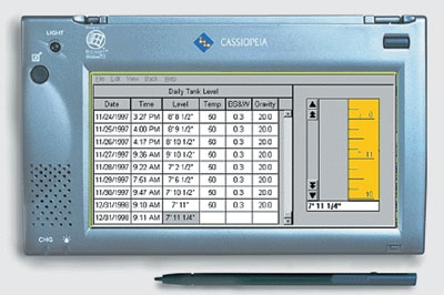 Handheld computer system reduces costs and increases data value