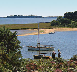 BP installs first dual ESP system at Wytch Farm