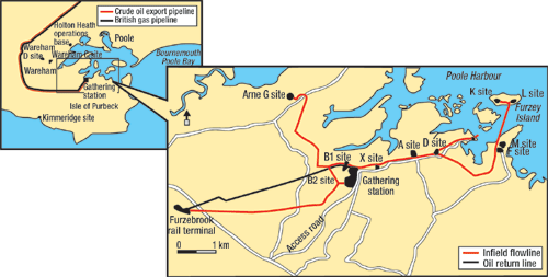 BP installs first dual ESP system at Wytch Farm