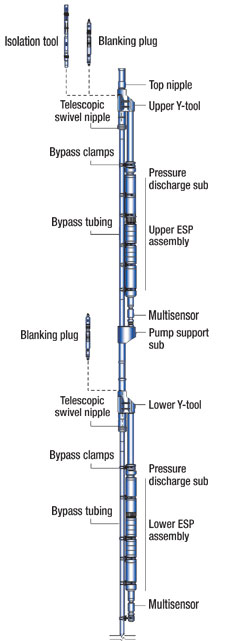 BP installs first dual ESP system at Wytch Farm