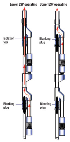 BP installs first dual ESP system at Wytch Farm