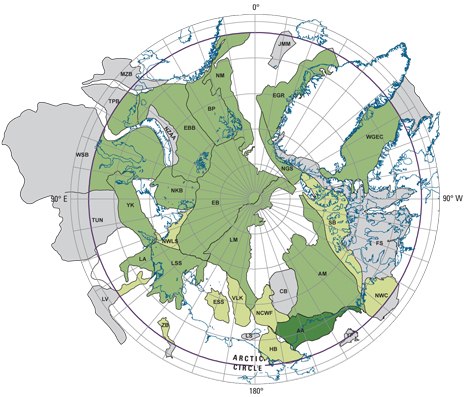 Regional Report: The Arctic